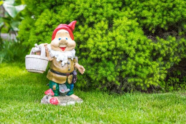 A Day in the Life of an Irish Robot Lawn Mower: From Dawn ‘til Dusk ...